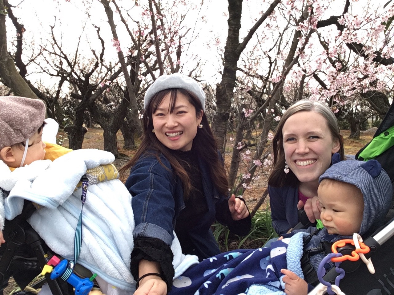 Baby Steps – Missionary Wife Life
